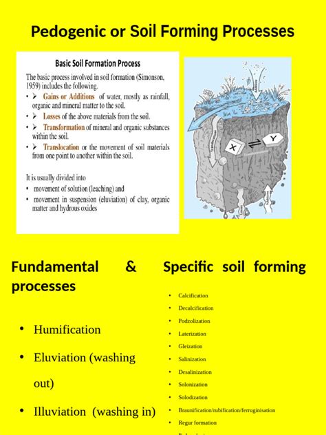 7 Soil Forming Processes Pdf Soil Earth Sciences
