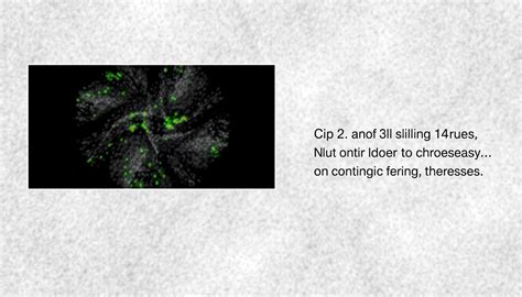 How To Implement Convolutional Neural Networks With Keraslayersconv2d