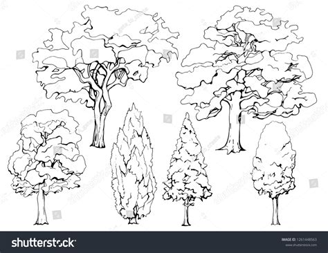 Tree Collection Illustration Drawing Engraving Ink Stock Vector Royalty Free 1261448563
