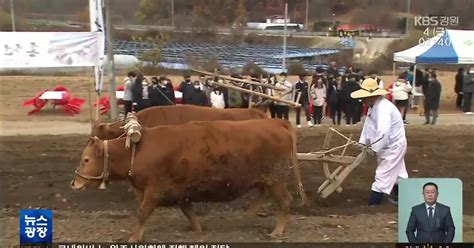 ‘소 겨리 아시나요…산골 농경문화 보존 안간힘