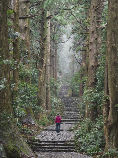 The Kumano Kodo Walking Trail A Guide With Maps Artofit