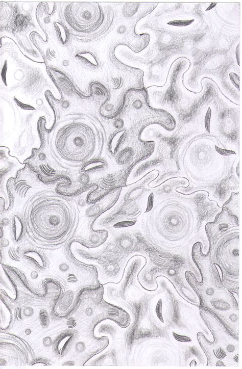 Single Cell Eukaryotes By Peucetiaviridans On Deviantart