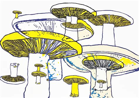 Ardyn Halter Mystery Of The Blewit 2024 Eames Fine Art