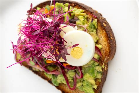Signature Avocado Toast With Egg On Multigrain We Eat Live Do Well