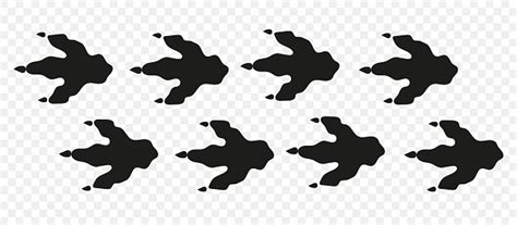 손으로 그린 공룡 발자국 드래곤 풋 실루엣 공룡의 귀여운 흔적 질감 벡터 그림은 투명한 배경을 분리했습니다 갈고리 발톱에 대한 스톡 벡터 아트 및 기타 이미지 Istock