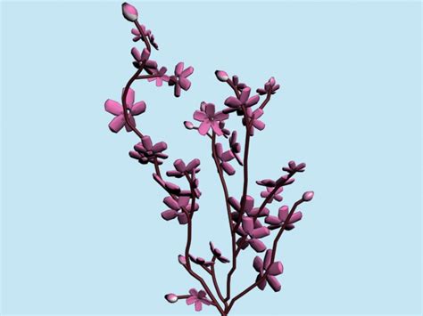 桜の花 3dモデル 15 Max Unknown Free3d