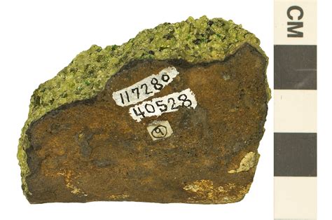 Nesosilicate Mineral Olivine Qrius