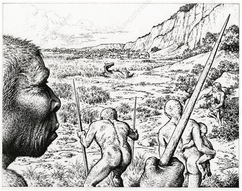 Homo Heidelbergensis Hunting Illustration Stock Image C0490077
