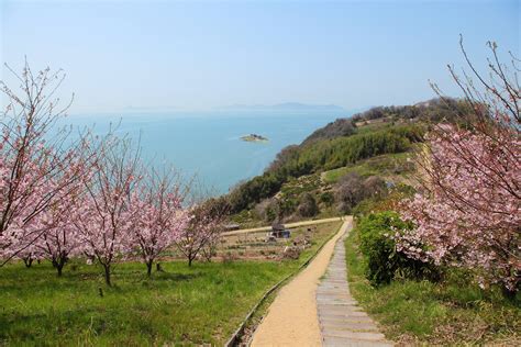 寄島園地（瀬戸内海国立公園内） 浅口観光協会