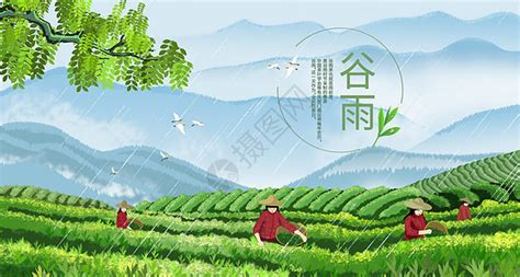 采茶时节采茶忙插画图片下载 正版图片401207671 摄图网