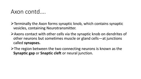 Neuron And Glial Cells Ppt