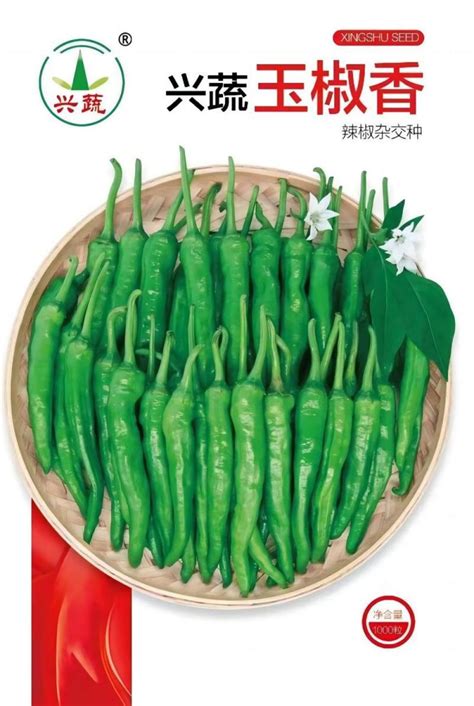 兴蔬玉椒香 兴蔬种业产品 湖南海利高新技术产业集团有限公司