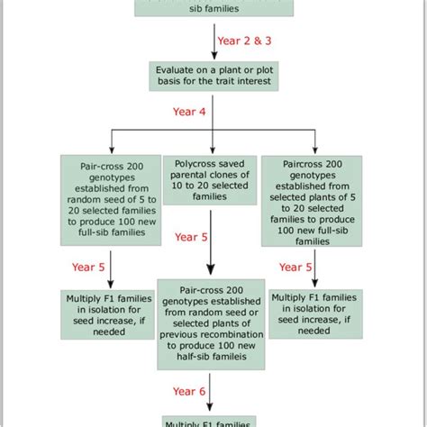 2 Genotypic Recurrent Selection Using Full Sib Families Figure