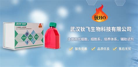 鼠源原代细胞 人源原代细胞 猪源原代细胞 无血清培养基 基础培养基 完全培养基 Pbs 武汉钬飞生物科技有限公司