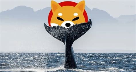 رشد 70 درصدی شیبا اینو پیش بینی قیمت گجت نیوز