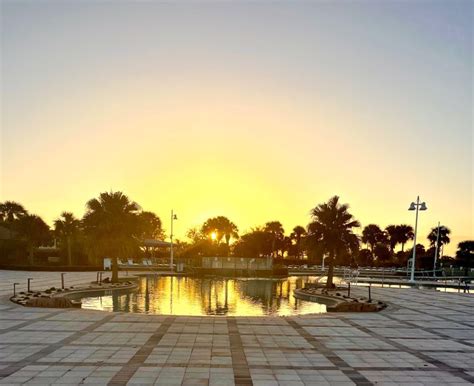 Ave Maria Florida Debbie Morrisette