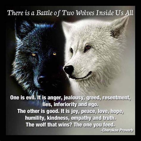 Two Wolves Fighting Inside You
