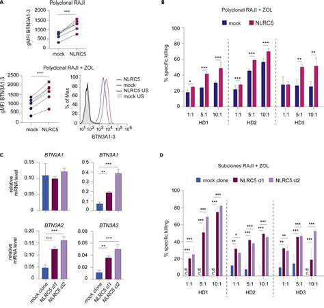 Nlrc5 Promotes Transcription Of Btn3a1 3 Genes And Vγ9vδ2 T Cell