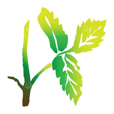 장미 나무 벡터 장미 나무 그림 삽화 Png 일러스트 및 벡터 에 대한 무료 다운로드 Pngtree