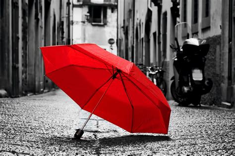 Comment Isoler Un élément Coloré Dans Une Photo Noir Et Blanc