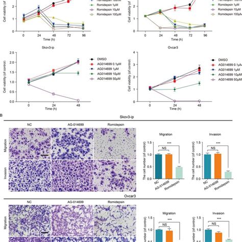 Chd4 Regulates The Invasion And Metastasis Of Ovarian Cancer By Download Scientific Diagram
