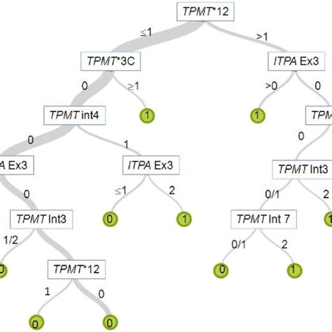 Basic Model Of Toxicity Prediction This Classification And Regression Download Scientific