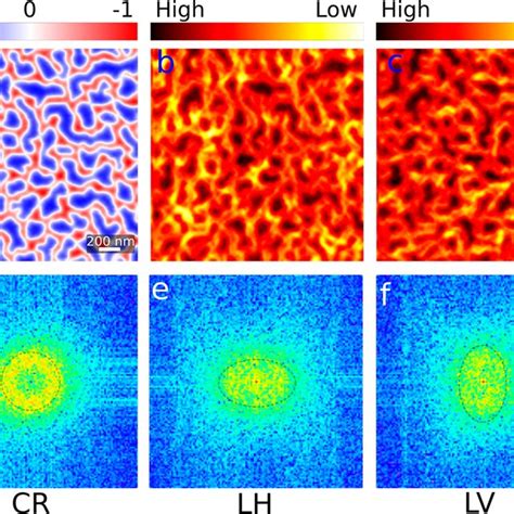 Imaging Of The Magnetic Domains And Domain Walls In A Maze Domain State
