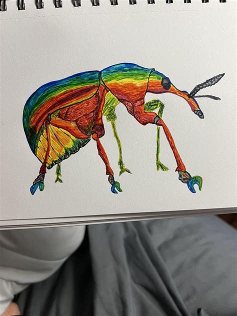 Cute Weevil Poems Rweeviltime