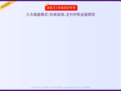 选股王
