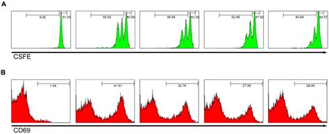 A Stimulated Lymph Node T Cells By Anti Cd3anti Cd28 On Plates Were