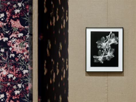 Monsieur Steichen The Contemporary Art Museum Of Luxembourg