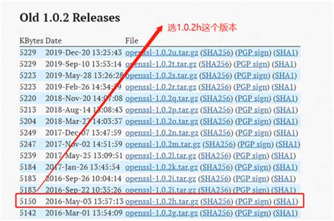 交叉编译ffmpeg50，并支持librtmpffmpeg 5编译 Csdn博客
