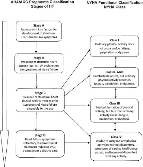 Figure 1 From Predictive Validity Of Nyha And Acc Aha Classifications