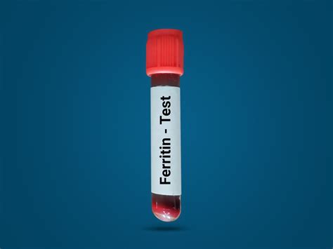 How To Increase Ferritin Without Increasing Iron From A To Vegan