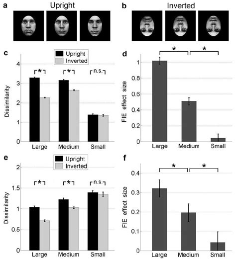 Tuning Size Accounts For The Behavioral Face Inversion Effect Fie