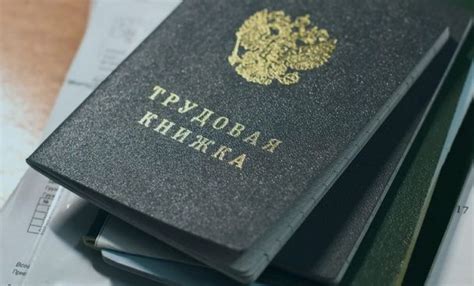В РФ действуют трудовые книжки нового образца Общество