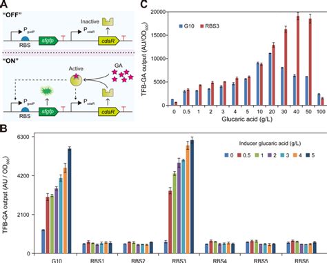 Effects Of Rbs On Biosensor Detection Limit A The Working Principle Download Scientific