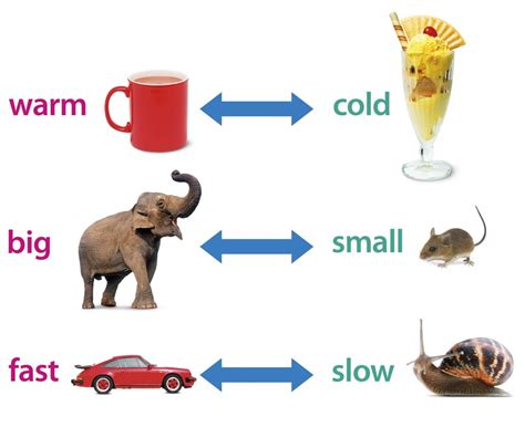Semantics English Linguistics For Ells