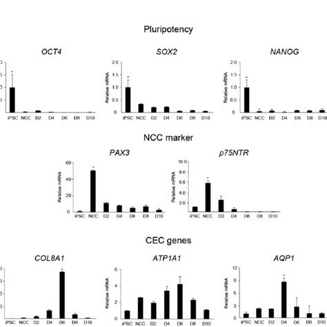 Quantitative Real Time RT PCR QRT PCR QRT PCR Analysis Of The