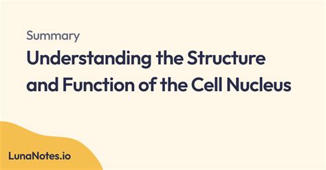 Understanding The Structure And Function Of The Cell Nucleus Video