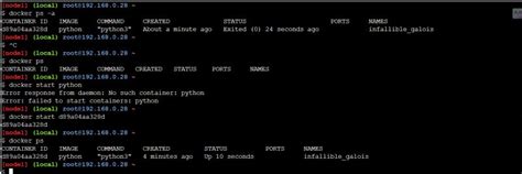 Ritesh Yadav On Linkedin Linuxworld Docker Linuxcommands Mentalhealthapp Internshipjourney