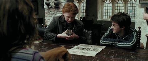 Harry Potter And The Prisoner Of Azkaban Ronald Weasley Image