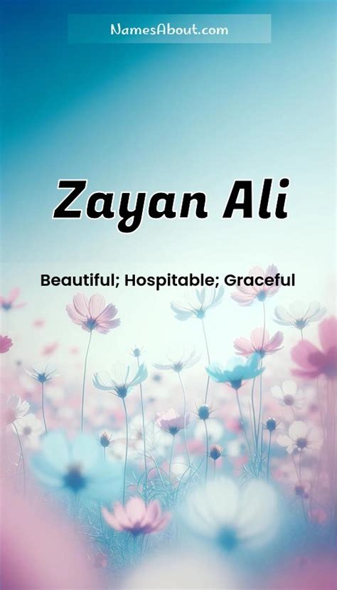 Zayan Ali Name Meaning And Origins Nicknames Sibling Ideas