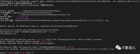 Oracle Weblogic 12214从安装到补丁更打 墨天轮