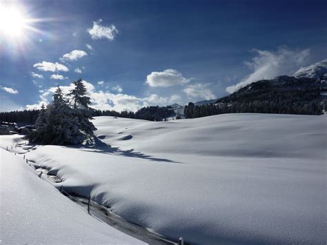 Fotos Gratis Paisaje árbol Naturaleza Montaña Nieve Nube