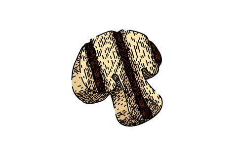 Mushroom Grilled Vegetables Sketch Hand Graphic By Pikepicture