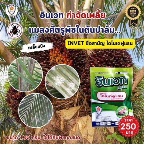กำจัดเพลี้ย ในต้นปาล์ม เช่นเพลี้ยแป้ง เพลี้ยอ่อน เพลี้ยไฟ และเพลี้ย