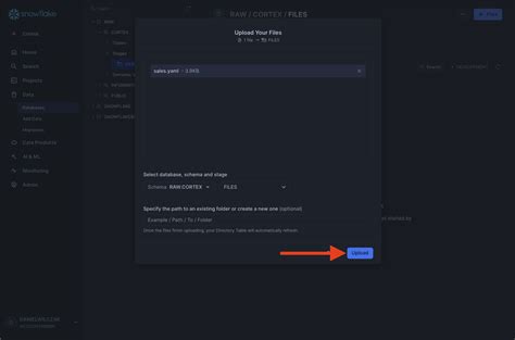 Cortex Analyst Daniel Wilczak Tutorials