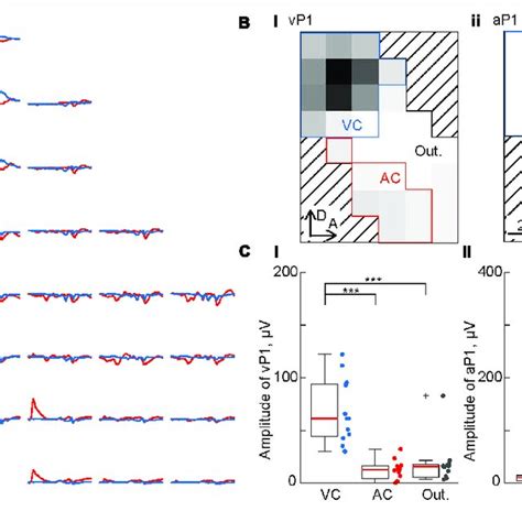 Mapping Of The Congruent And Incongruent Audio Visual Mismatch Download Scientific Diagram