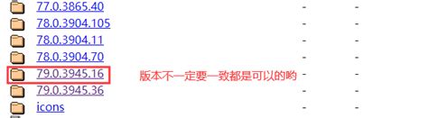 chromedriver exe自动化web 安装谷歌驱动以及可能遇到的坑 海澜时见鲸 博客园